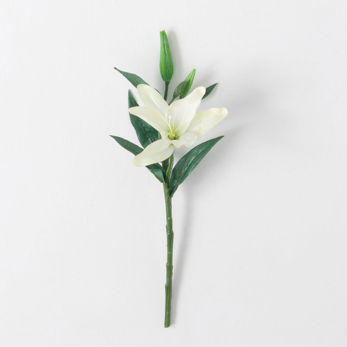 Real Garden Tiger Lily Stem – GYFTZ